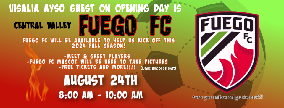 Home [www.visaliaayso.com]